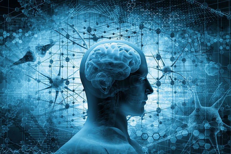 Neurology Outreach Clinic Moving from Kempsey to Port Macquarie ...